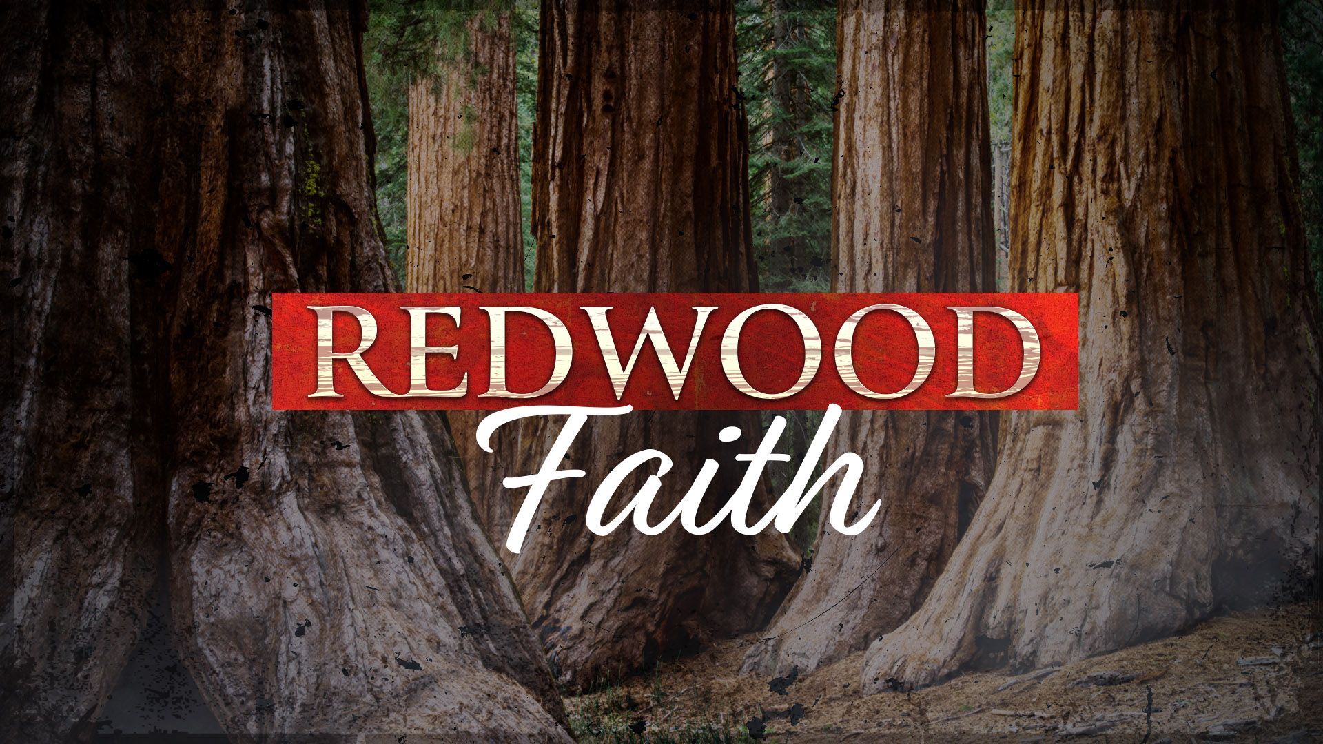 Redwood Faith: How To Produce Life - Radiant Church - Radiant Church